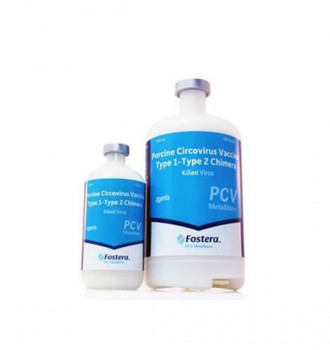 Fostera PCV | Bioscience Animal Health