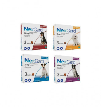 NexGard | Bioscience Animal Health